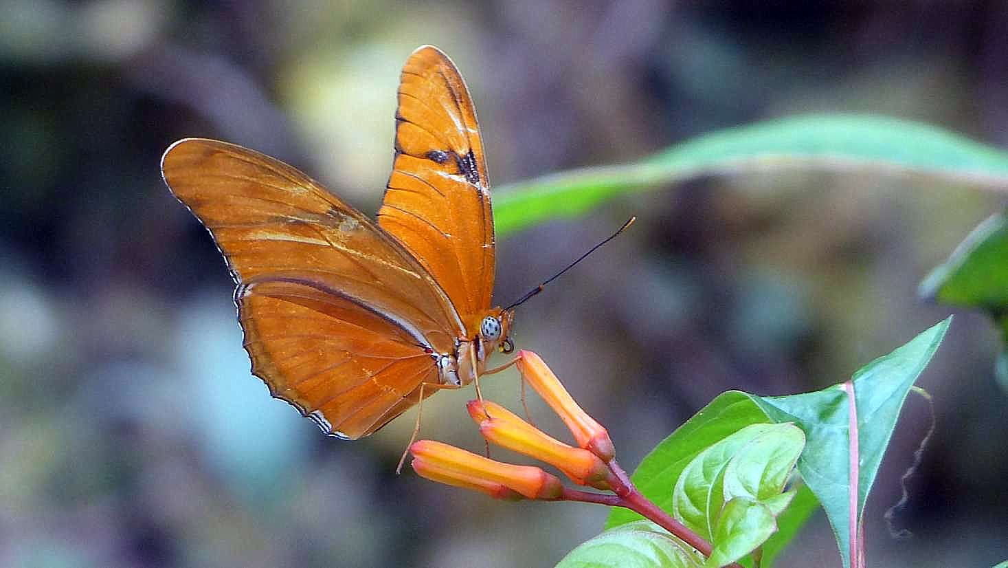 La Romana / Dominikanische Republik - Elke und Joachim Gerhards Reiseseiten