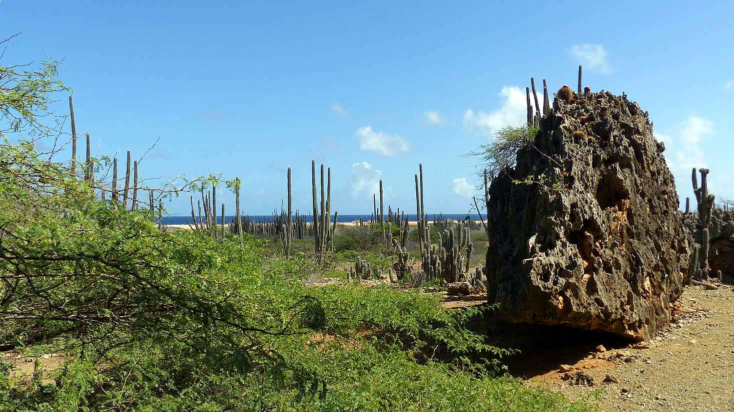 Bonaire - Jeeptour über die Insel / wir bummeln durch Kralendijk - Elke ...