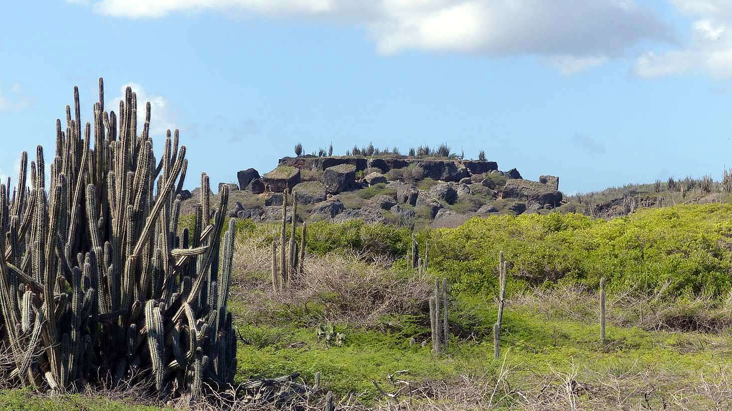 Bonaire - Jeeptour über die Insel / wir bummeln durch Kralendijk - Elke ...